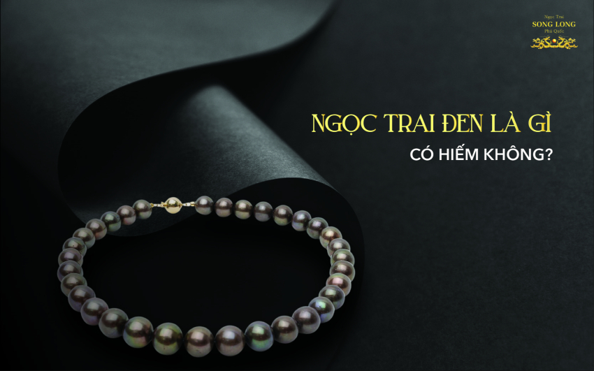 Ngọc Trai Đen Có Hiếm Không? - Ngọc Trai Song Long